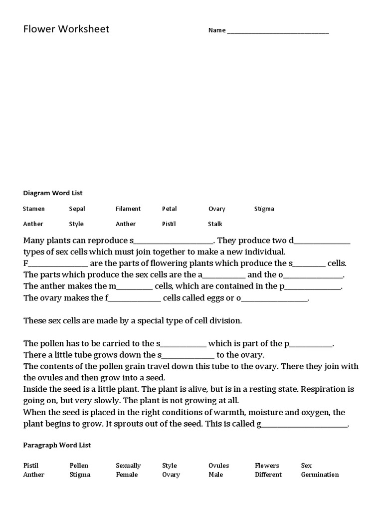 Flower Worksheet: Diagram Word List | PDF | Flowers | Sex