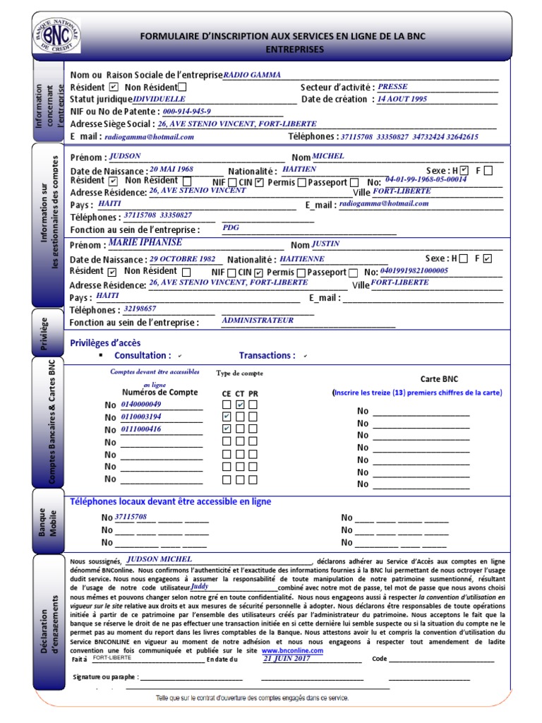 Formulaire BNC 1 PDF | PDF | Business | Science