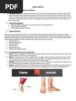 Ergonomics Quiz With Answers | PDF