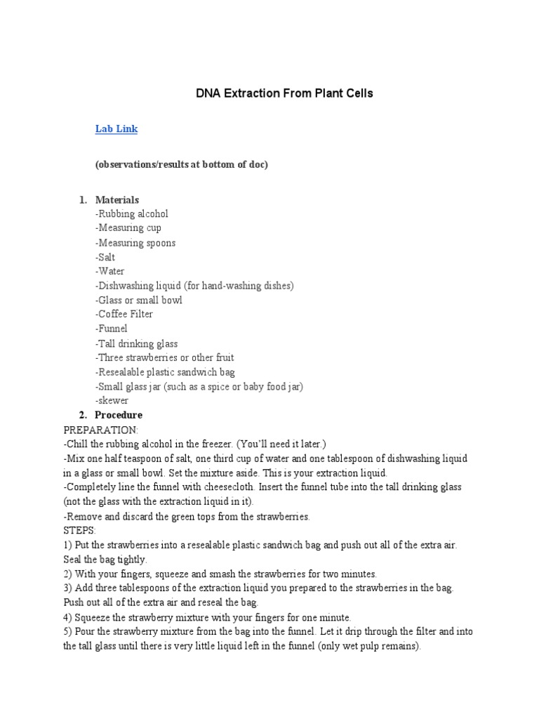 Orange DNA Extraction Experiment Results | PDF | Cooking, Food & Wine