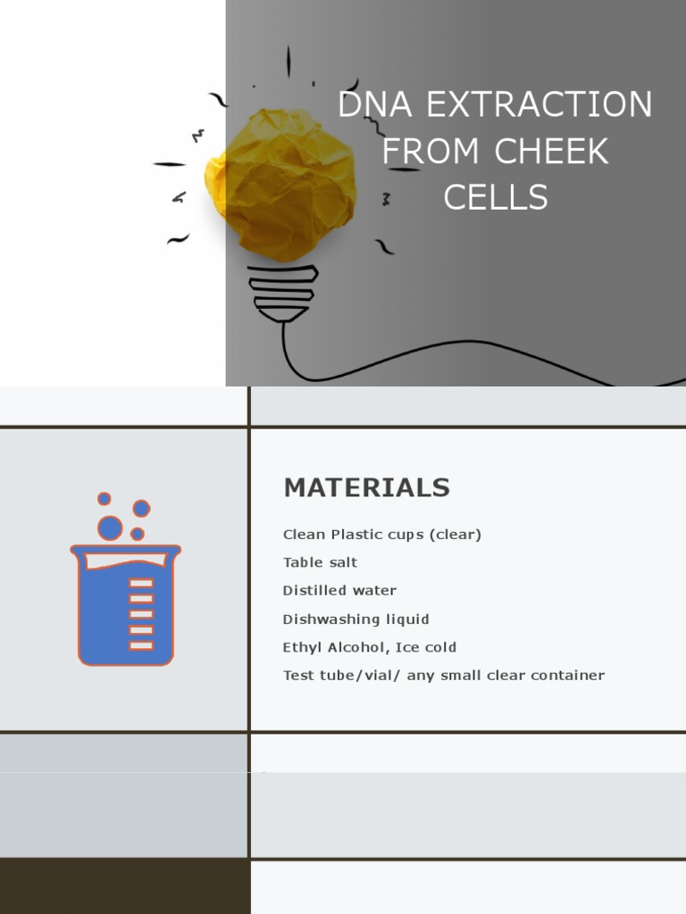 Dna Extraction From Cheek Cell | PDF | Ethanol | Chemical Substances