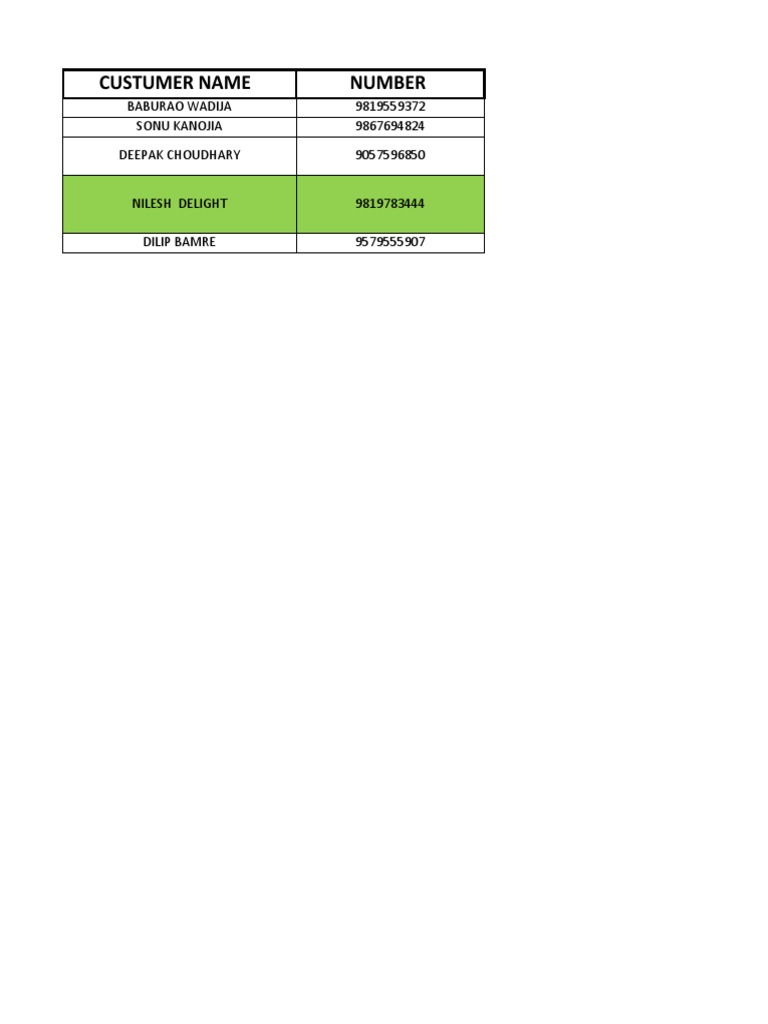 Customer Interaction Summary | PDF