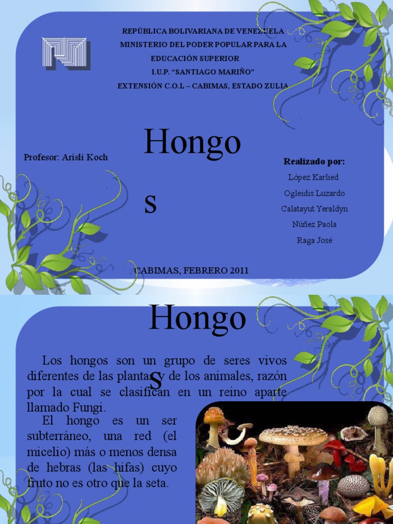 Presentacion de Hongos | PDF | Hongo | Organismos