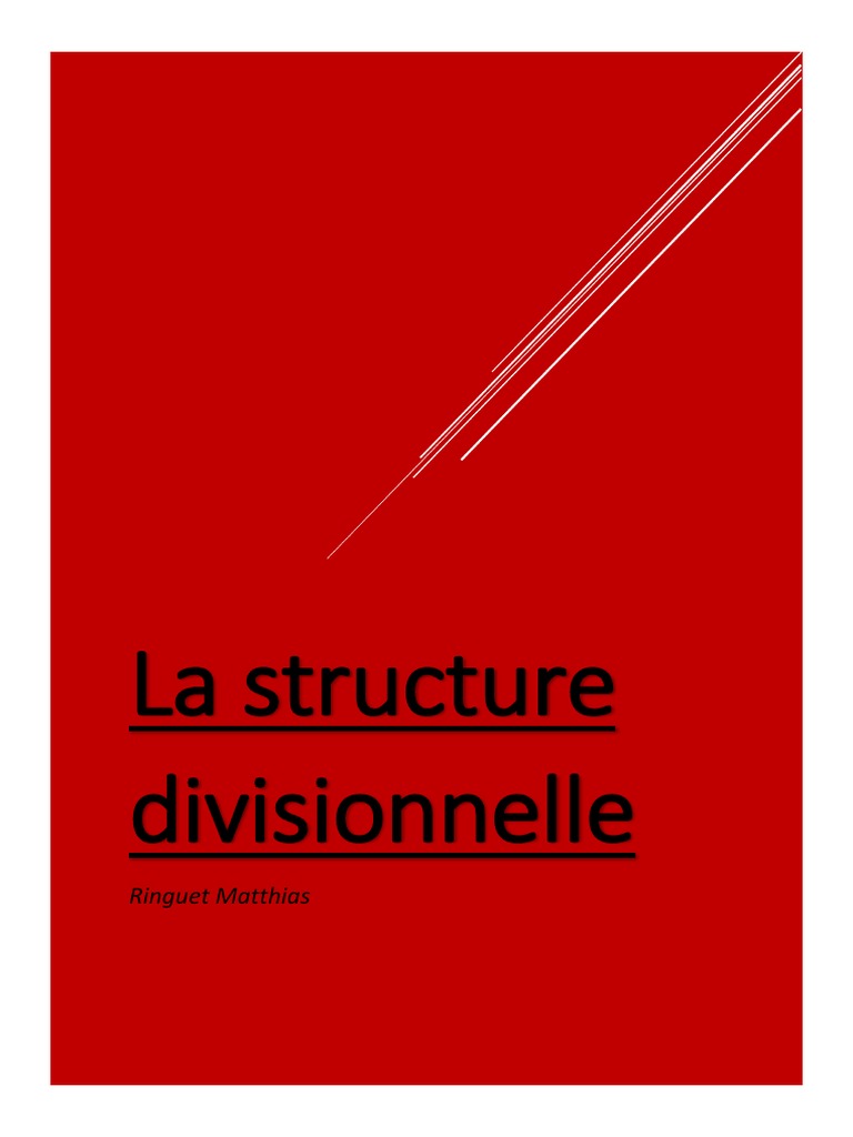 La Structure Divisionnelle Word | PDF | Économie | Business