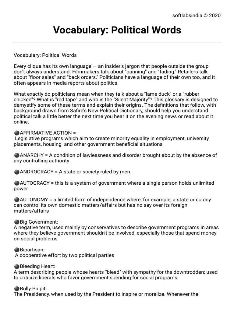 Vocabulary Political Words | Download Free PDF | Gerrymandering | Elections