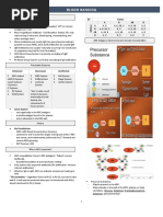 Rh Blood Group System Overview | PDF | Blood Type | Antibody