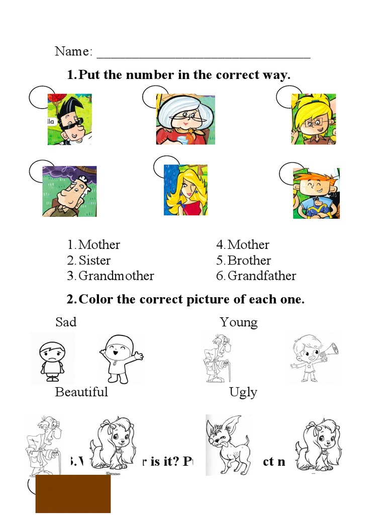 Family and Color Activity Worksheet | PDF
