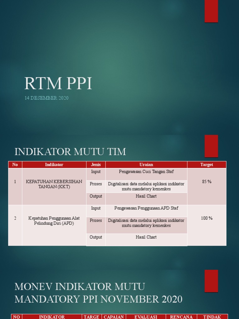 RTM PPI Puskesmas Talang Betutu | PDF