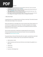 Wallace Rule of Nines | PDF | Burn | Intravenous Therapy