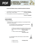 Glosario de briofitos y caulidios | PDF | Hoja | Plantas