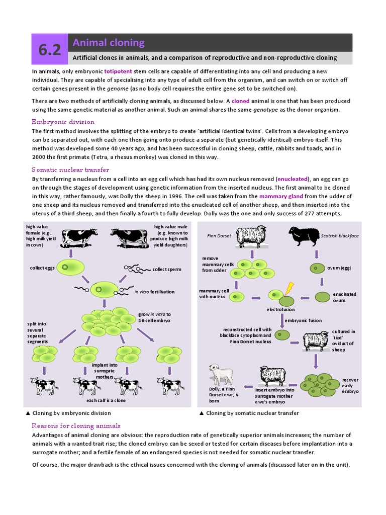 Animal Cloning: Artificial Clones in Animals, and A Comparison of ...