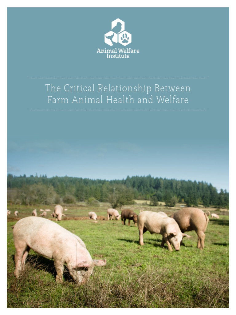 Animal Health Welfare Report 04022018 | PDF | Veal | Animal Welfare