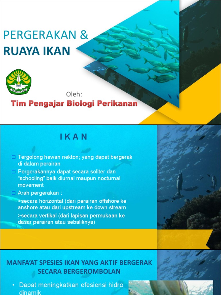 Pergerakan dan Ruaya Ikan | PDF
