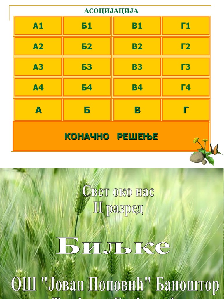 Biljke Gradja I Zivotni Ciklus | PDF