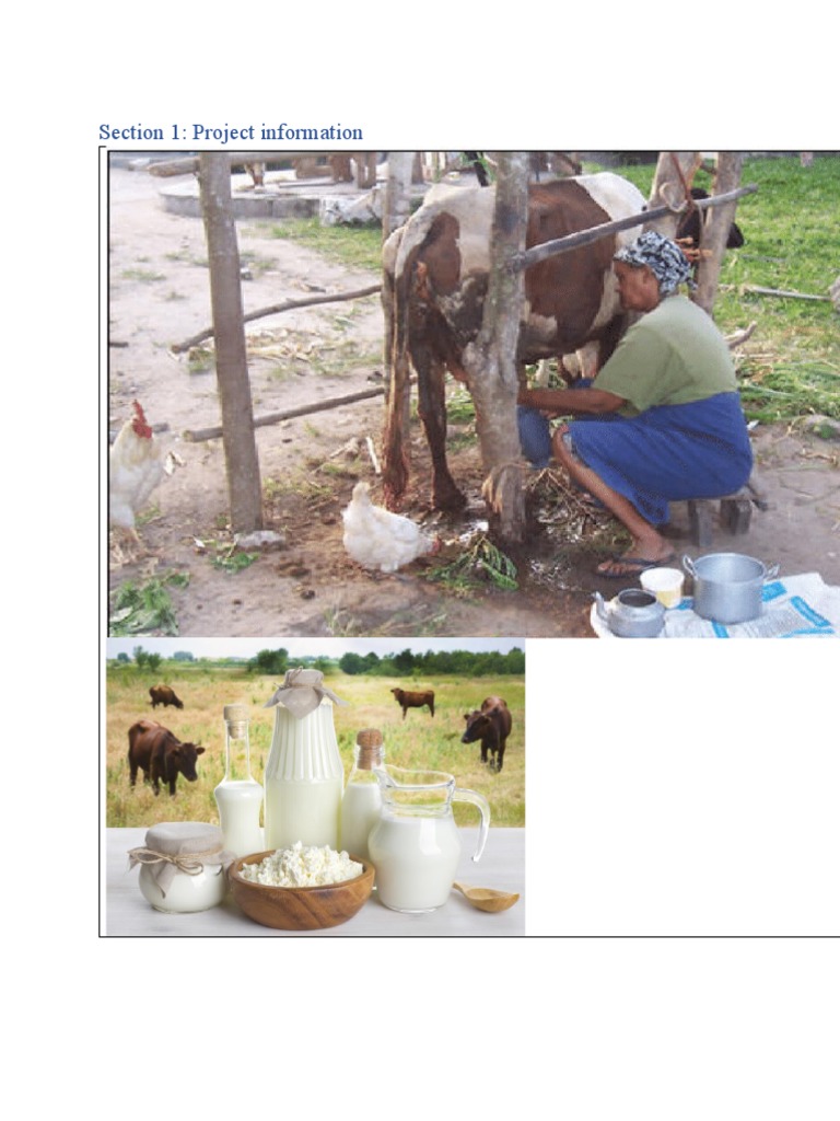 Project Proposal | PDF | Dairy | Expense