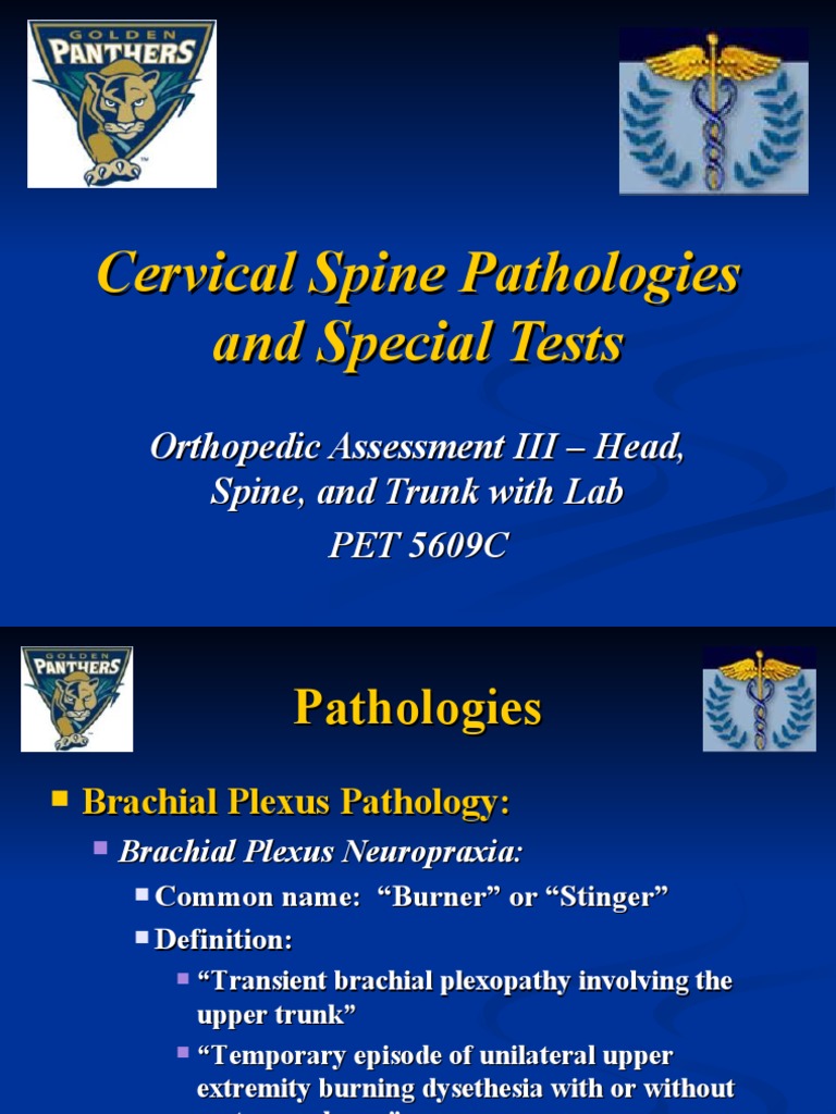 Cervical Spine Pathologies and Special Tests | PDF | Shoulder | Primate ...