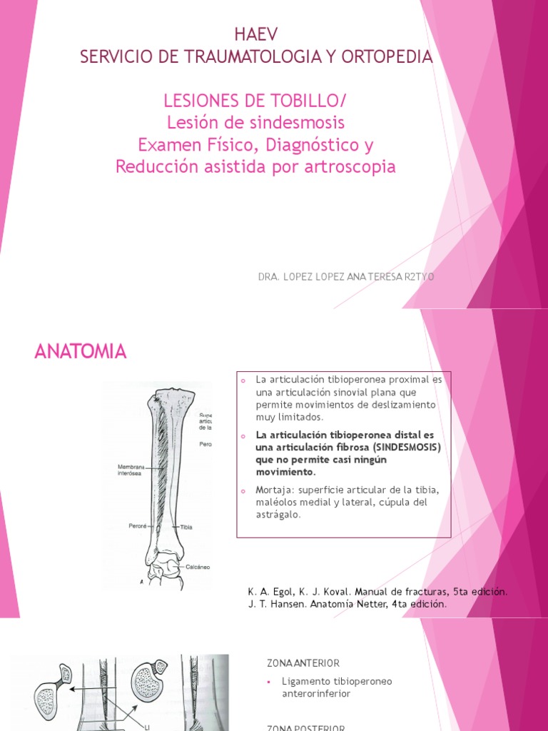 SINDESMOSIS | PDF | Tobillo | Rodilla