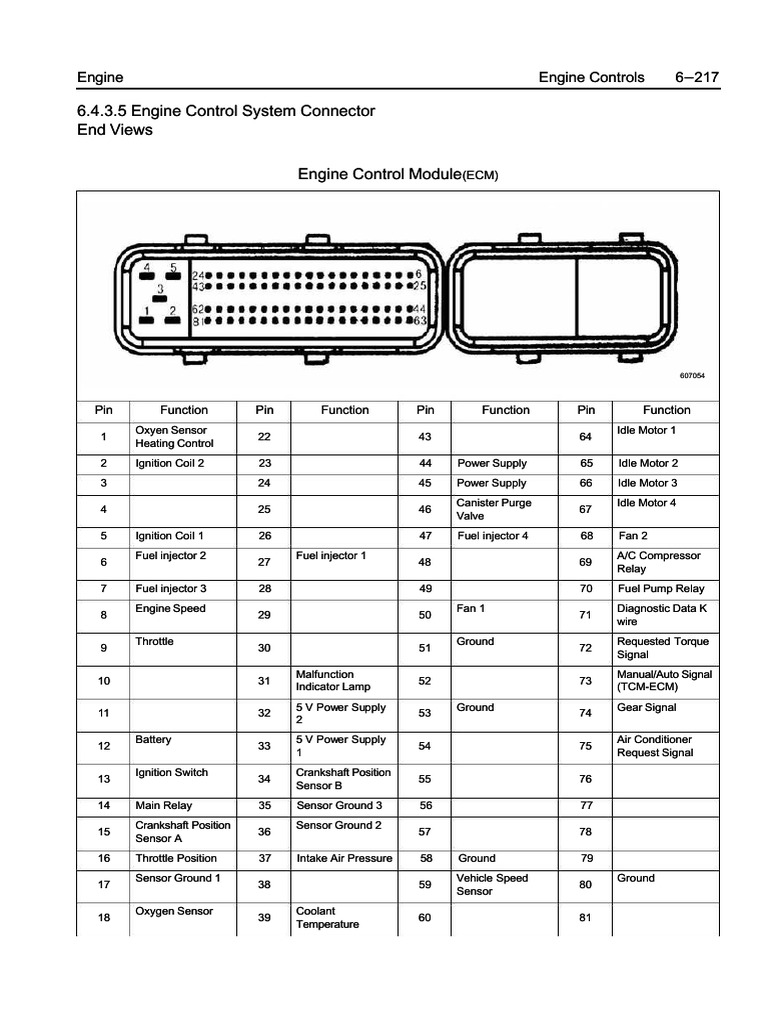Pinout ECU | PDF | Throttle | Fuel Injection