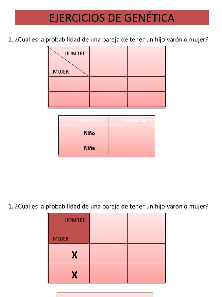 7 Ejercicios - Cuadro de Punnett | PDF | Dominancia (Genética) | Hemofilia