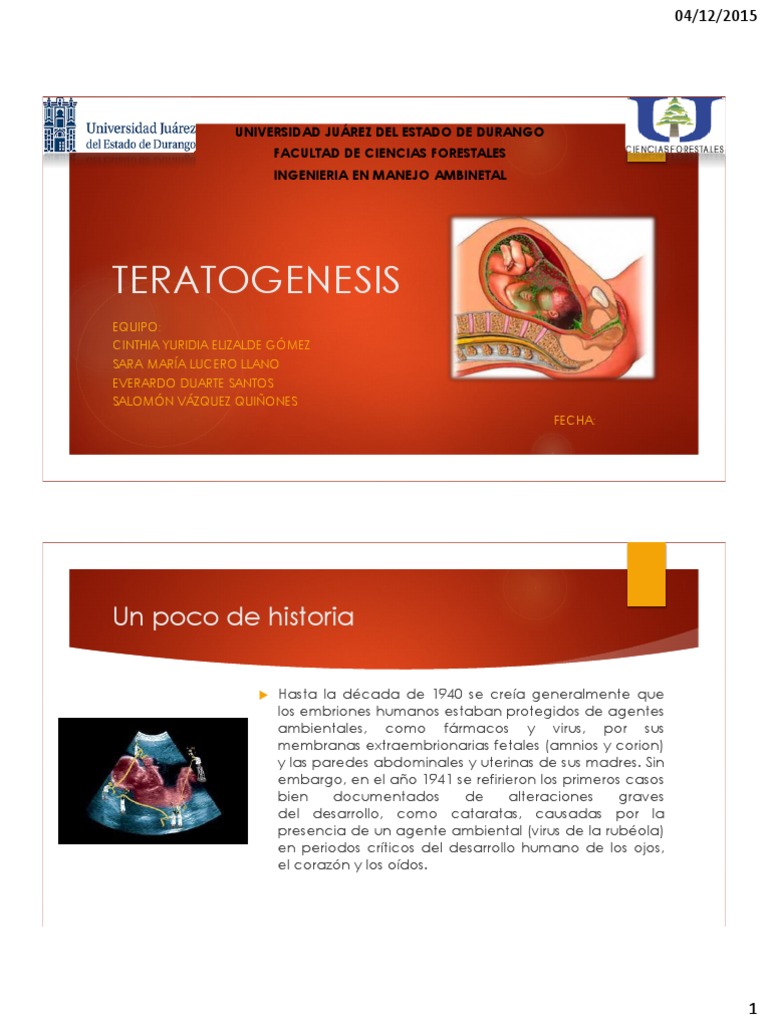 Teratogenesis | PDF | Enfermedades y trastornos humanos | Ciencias de ...