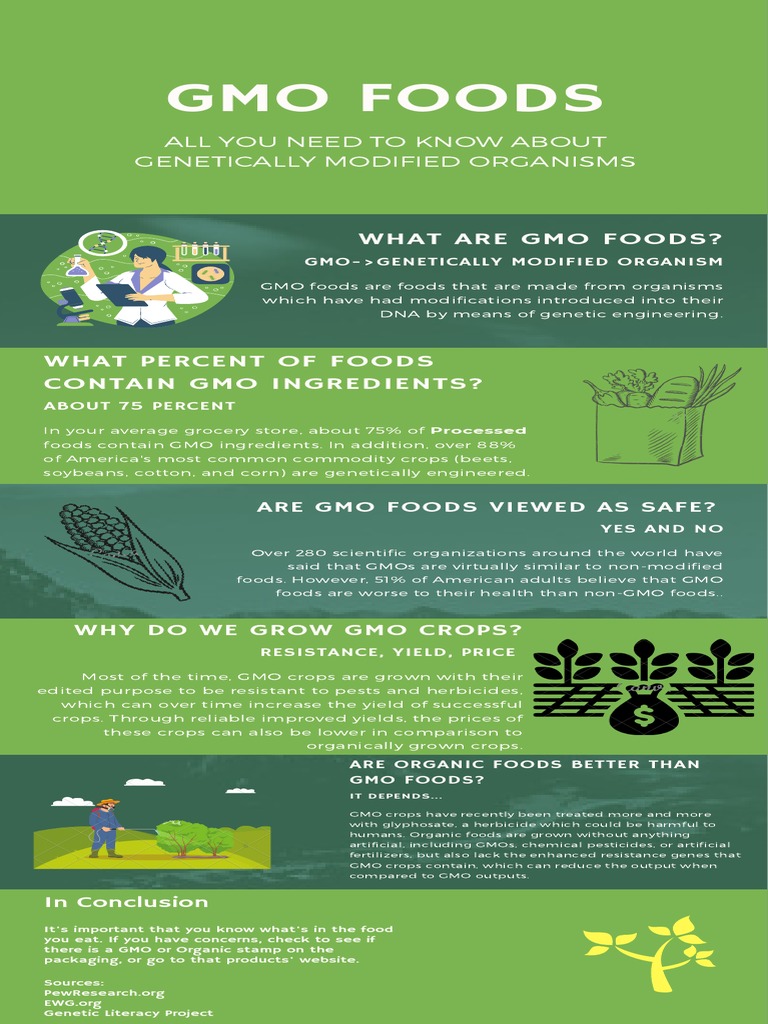 GMO Infographic | PDF | Genetically Modified Organism | Genetically ...