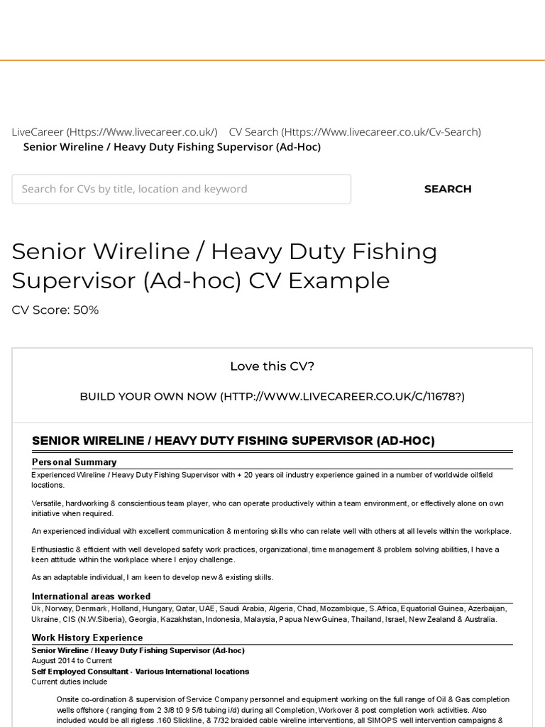 Senior Wireline: Heavy Duty Fishing Supervisor (Ad Hoc) CV Example Self ...