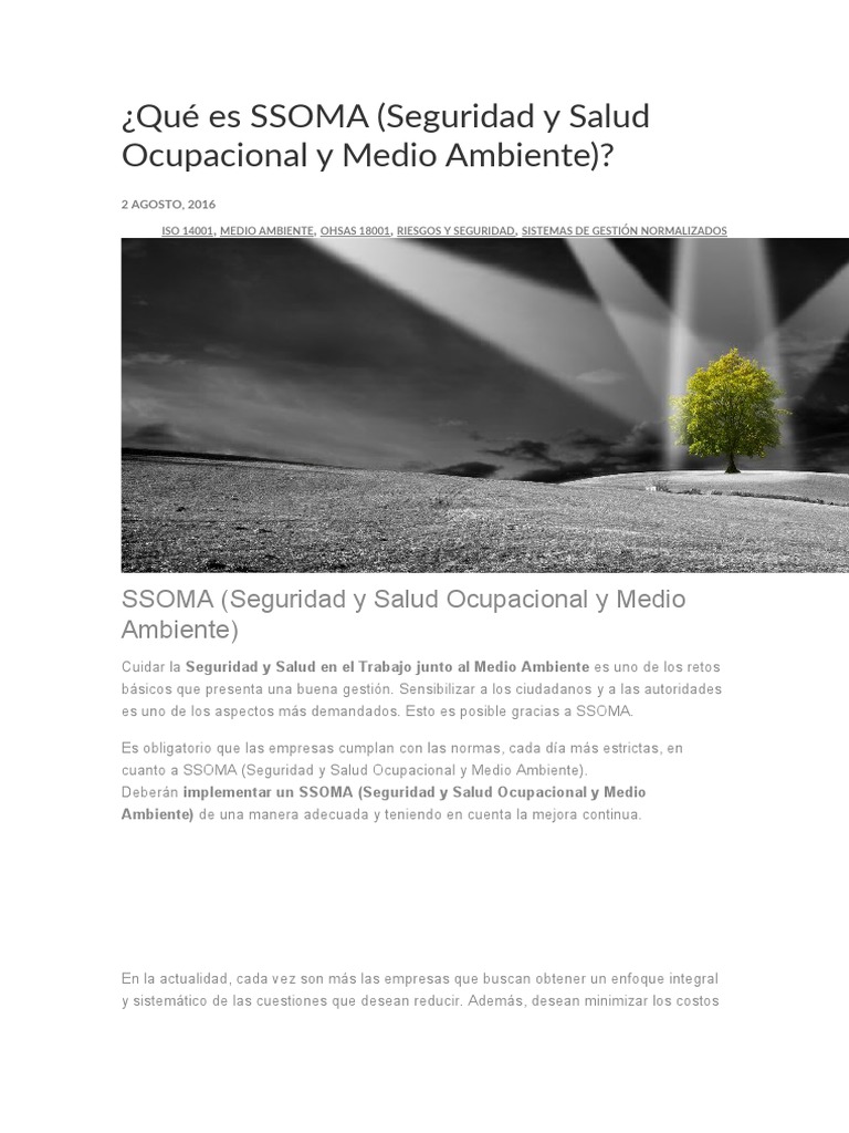 Qué Es SSOMA | PDF | Seguridad y salud ocupacional | Política