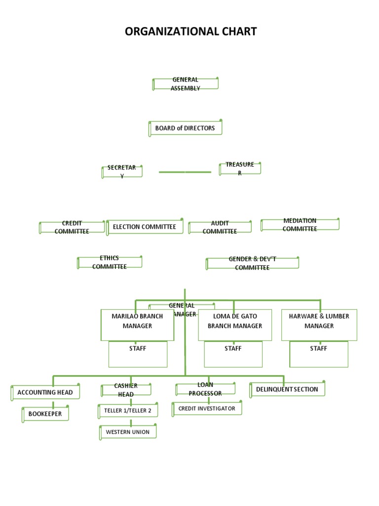 Organizational Chart: Teller 1/teller 2 Credit Investigator | PDF