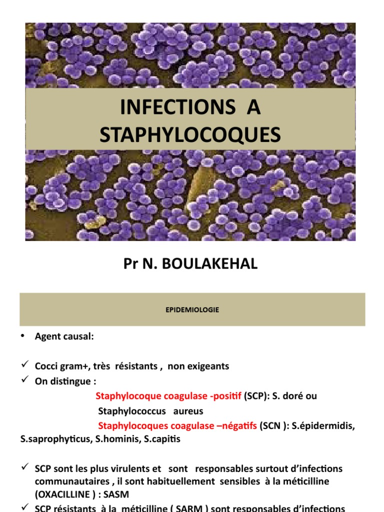 Infections A Staphylocoques: PR N. Boulakehal | PDF | Staphylococcus ...