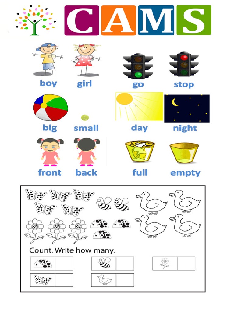 Nursery Class Worksheet | PDF