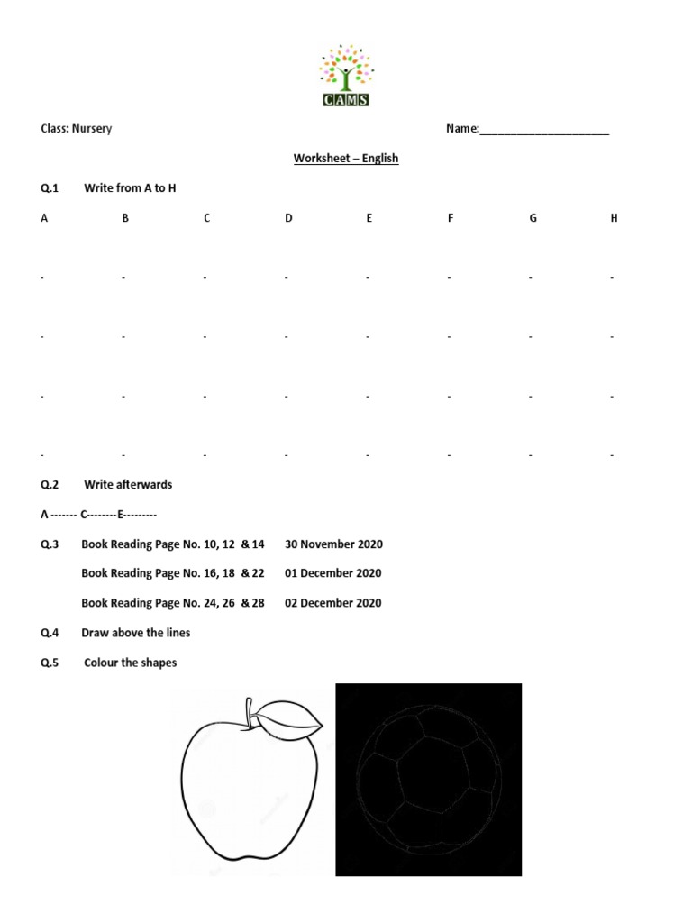 Nursery Exam Worksheets Collection | PDF