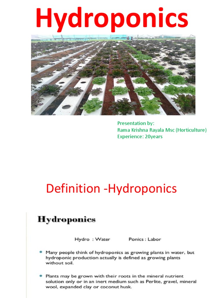 Hydroponics PDF | PDF | Hydroponics | Soil