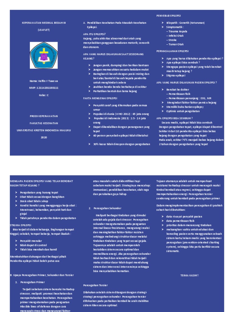 Leaflet Epilepsi | PDF