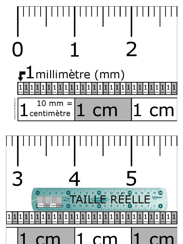 Double Decimetre Geant Protege | PDF