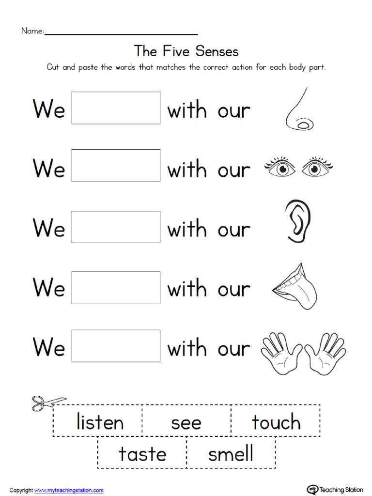 5 Senses Body Parts PDF | PDF