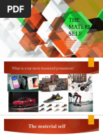 Material Self Uts | PDF | William James | Self