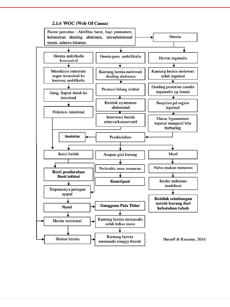 Woc Hernia | PDF