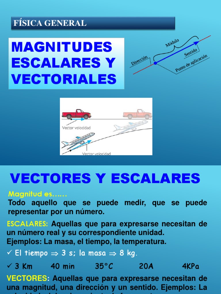 Magnitudes Escalares y Vectoriales | PDF | Vector Euclidiano | Física