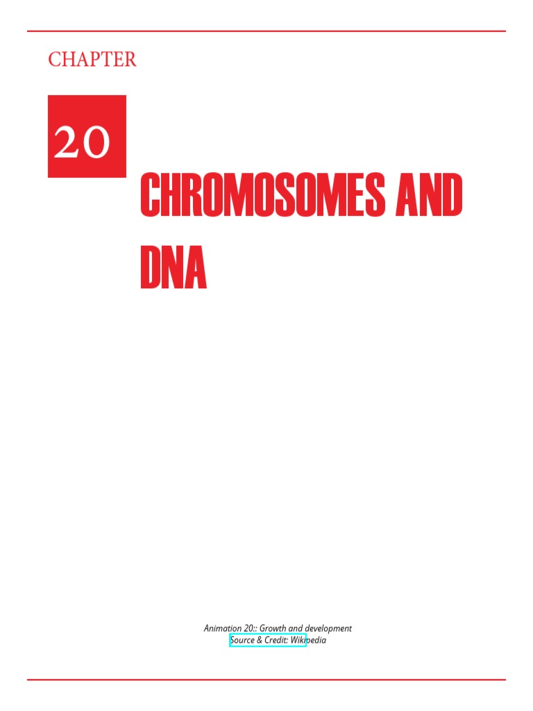 Chromosomes and DNA: Animation 20:: Growth and Development Source ...