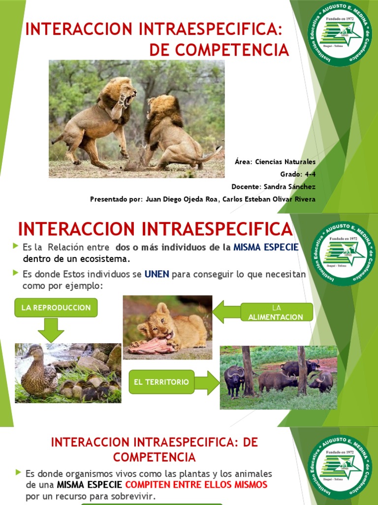 Interaccion Intraespecifica | PDF | Alimentos | Organismos