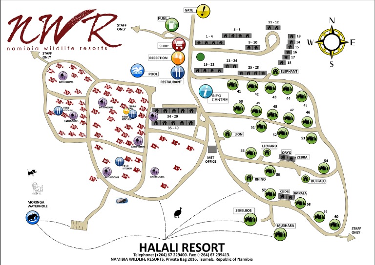 Halali Camp Layout New | PDF