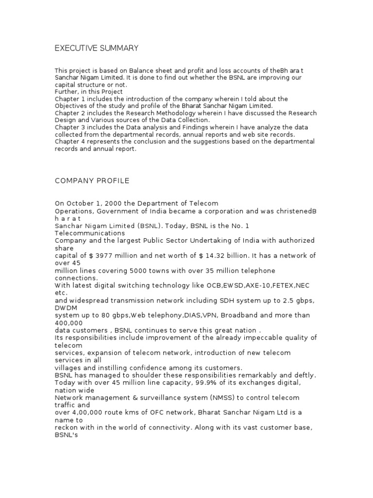 Executive Summary: Company Profile | PDF