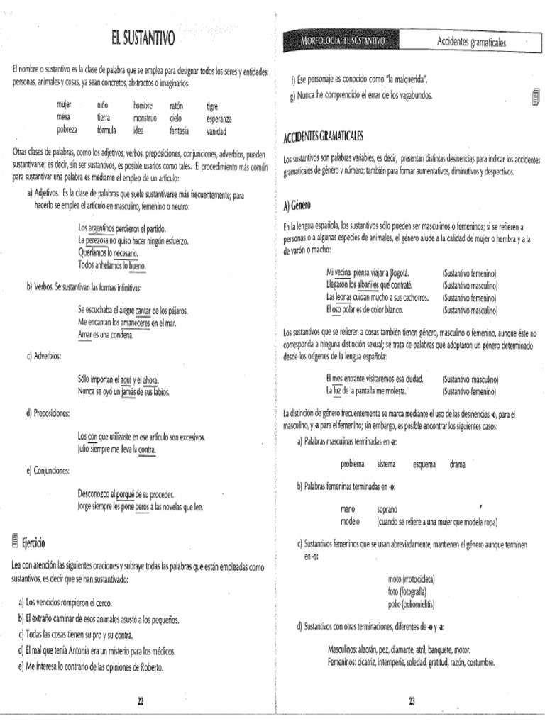 Lectura - EL SUSTANTIVO | PDF