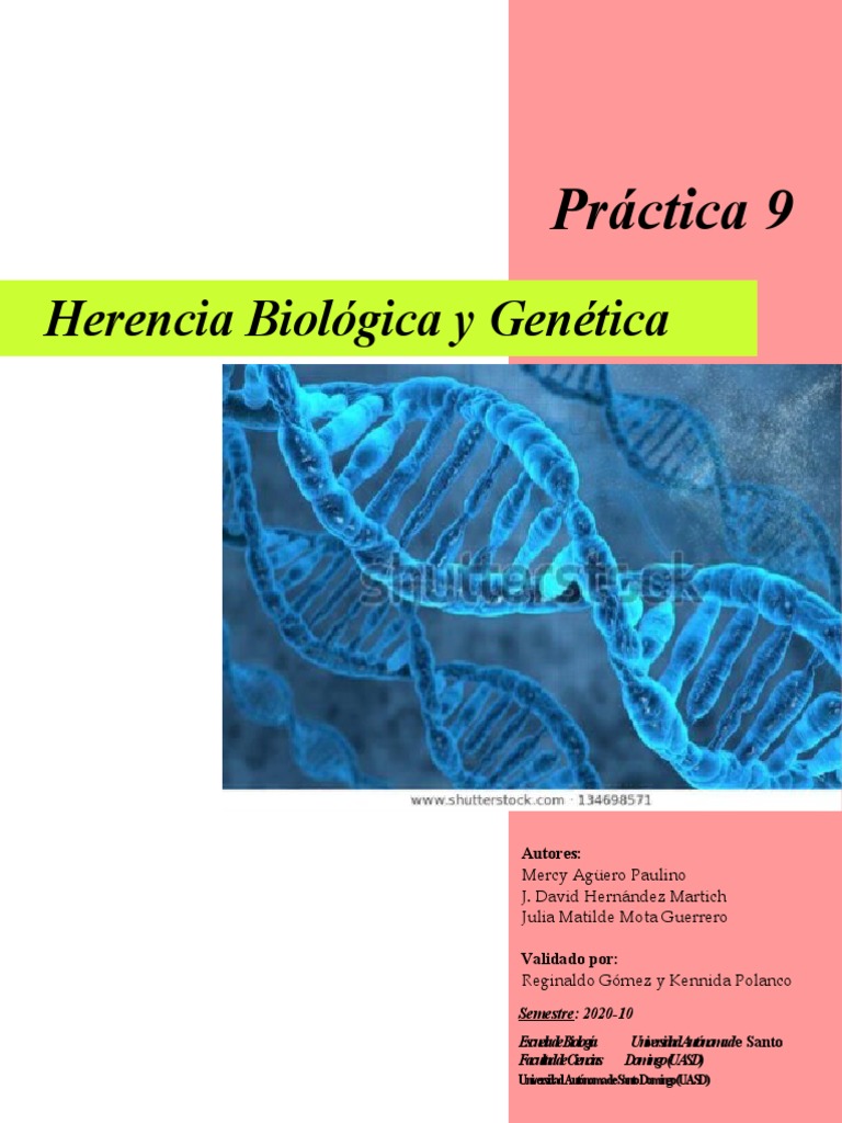 Practica 9 - BIOLOGIA BASICA | PDF | Dominancia (Genética) | Genotipo