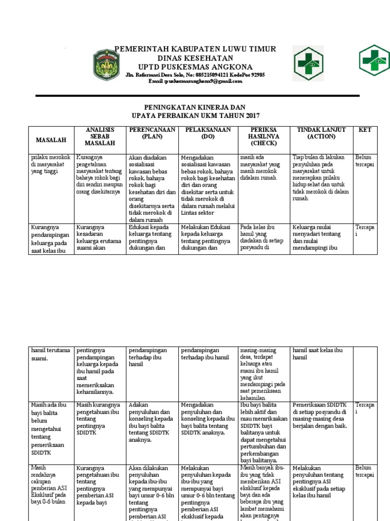 Pdca-Perbaikan-Kinerja-Pelayanan 2017 | PDF | Kesehatan Holistik
