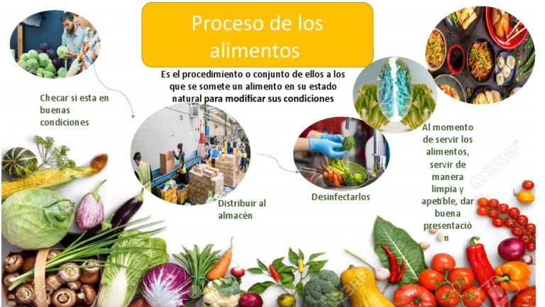 Proceso de Los Alimentos | PDF
