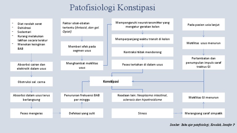 Patofisiologi Konstipasi | PDF