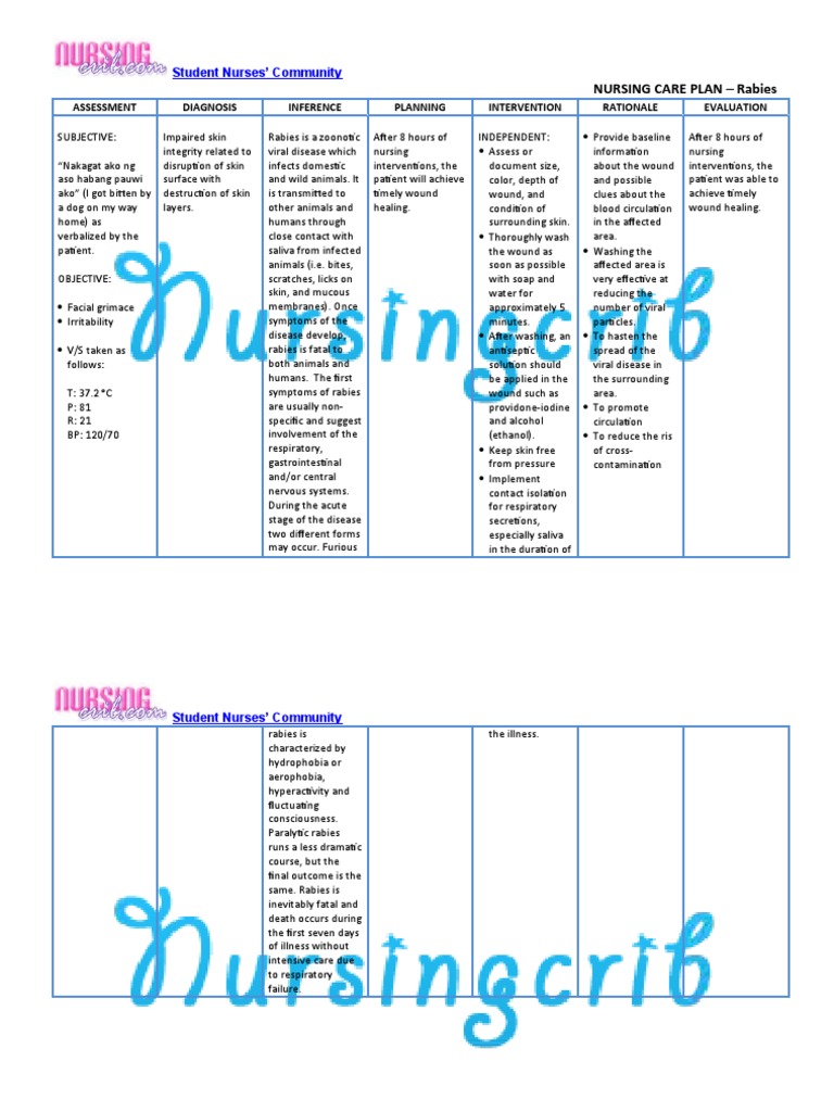 Nursing Care Plan For Rabies NCP | PDF | Rabies | Microbiology