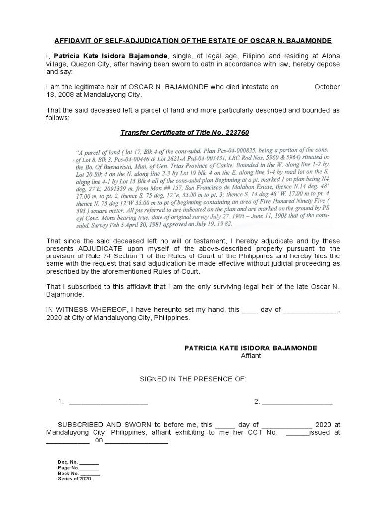 Affidavit of Self Adjudication | PDF