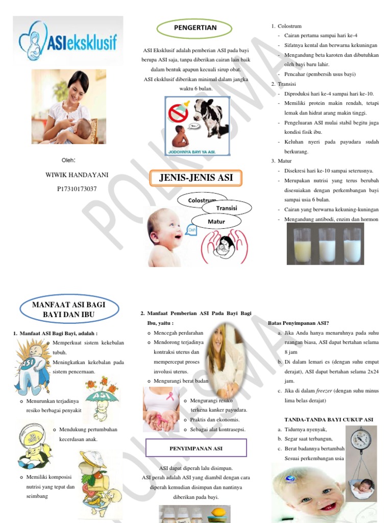 Leaflet Asi Eksklusif | PDF